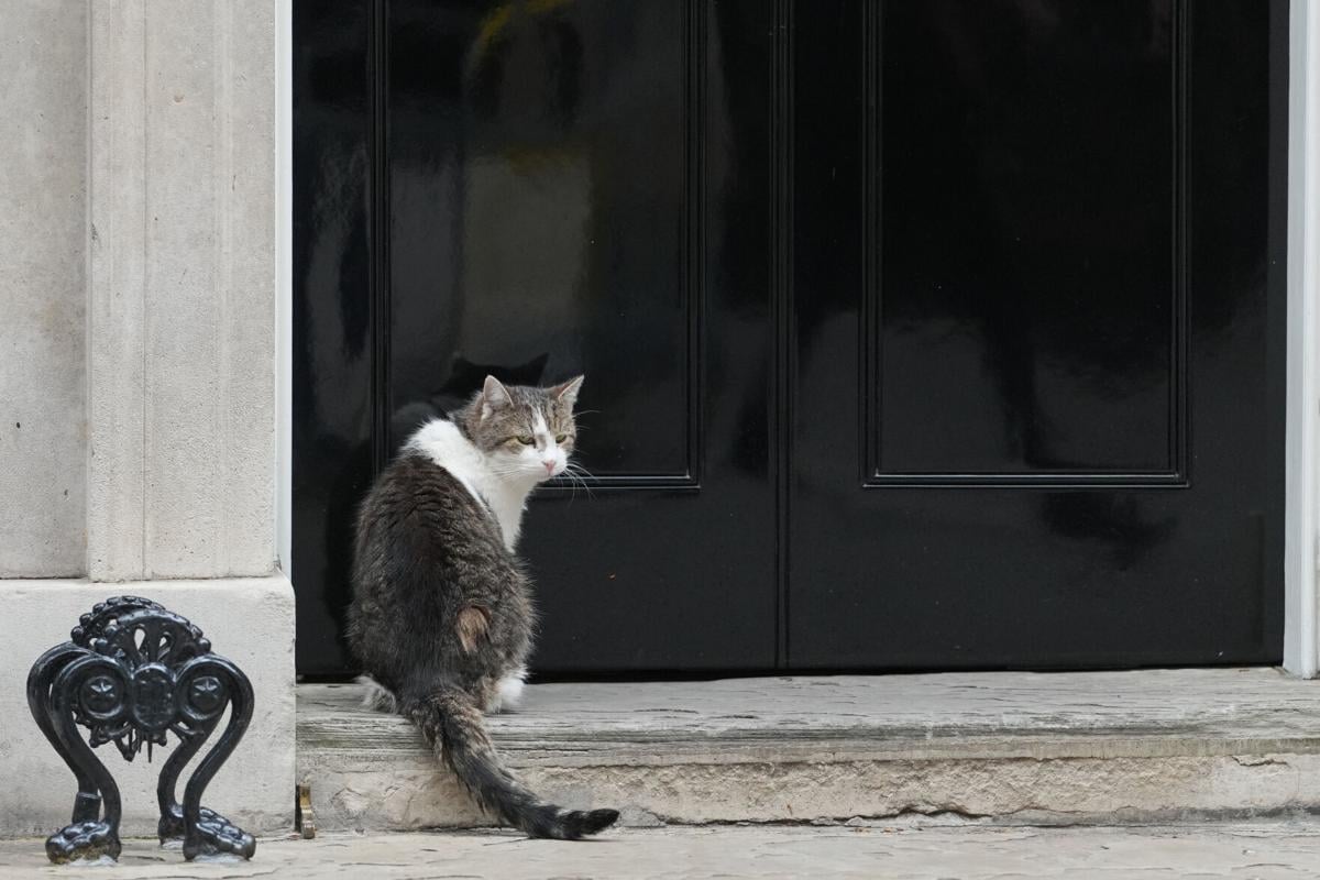Britain Politics | National News | goshennews.com