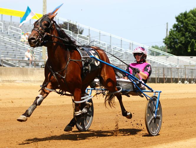 HARNESS RACING: Massive Desire takes photo finish in Maple City Trot ...