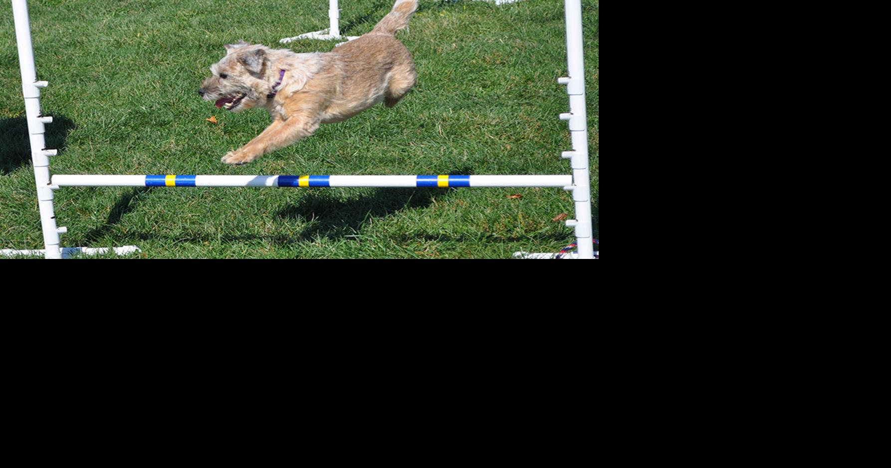 Commissioners approve alcohol at Ox Bow Park events | News | goshennews.com