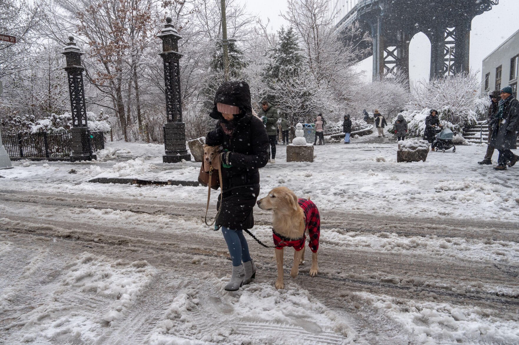 US Extreme Weather New York | National News | goshennews.com