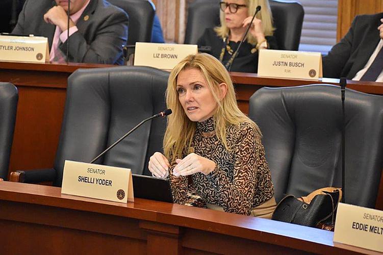 Shipshe native, now state senator, works for reproductive healthcare ...