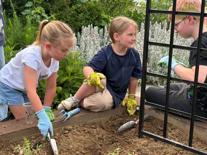 Russiville kids plant a salad | News | goshennews.com