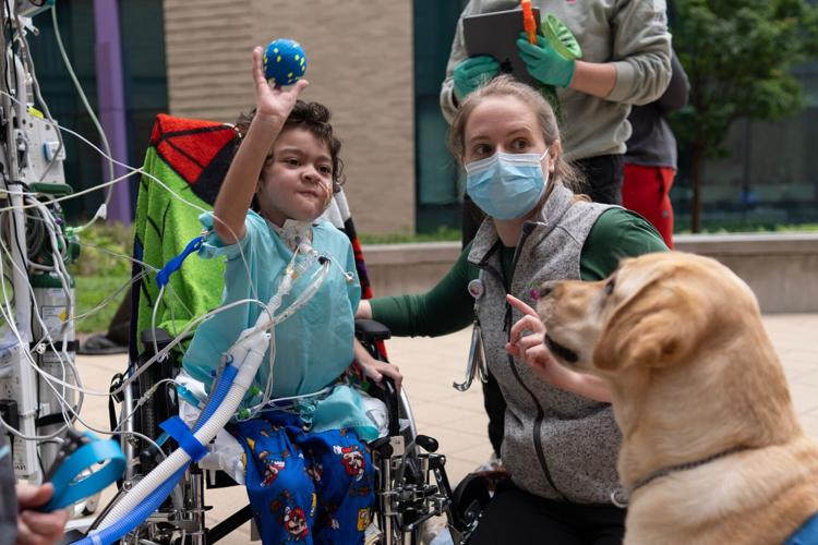 Good dog! More children’s hospitals turn to furry caregivers to help ...