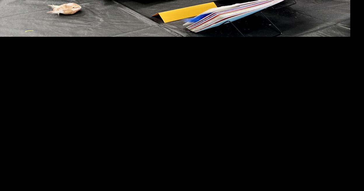 Homeschoolers display art at Nappanee Art Center | News | goshennews.com