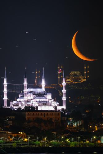 See the world in vertical: Top photos by AP photojournalists | National ...
