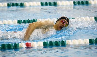 PREP BOYS SWIMMING: Moser reaches podium twice, Northridge leads area ...
