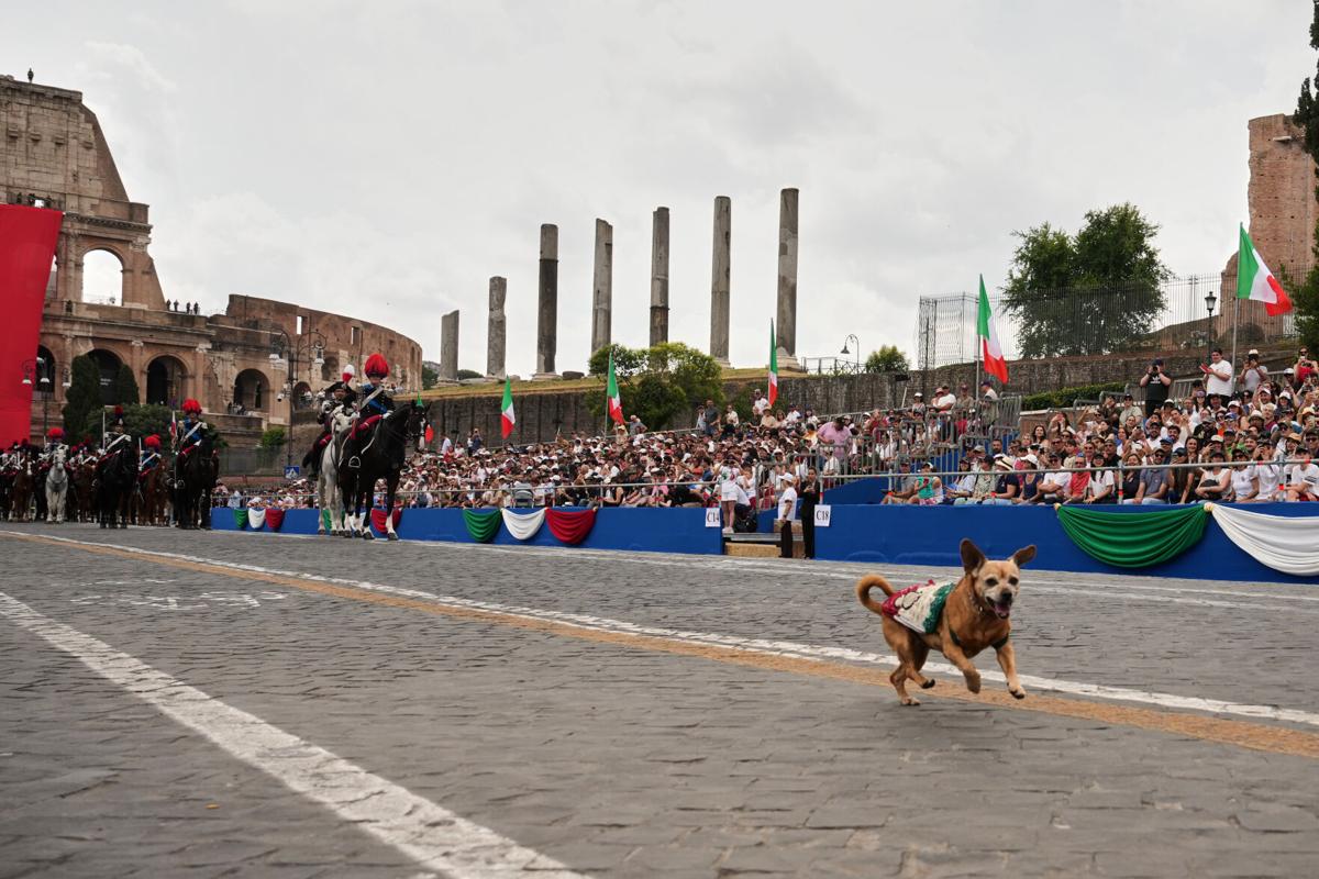 Italy Republic Day | National News | goshennews.com