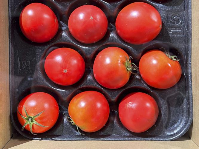 JEFF BURBRINK: In honor of the tomato | News | goshennews.com