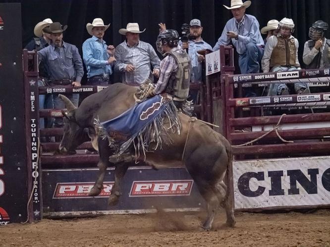 Bull Fest returned to Shipshewana Friday and Saturday | News ...