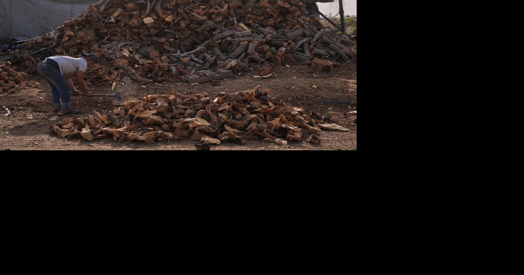 Israel Palestinians Gaza | National News | goshennews.com