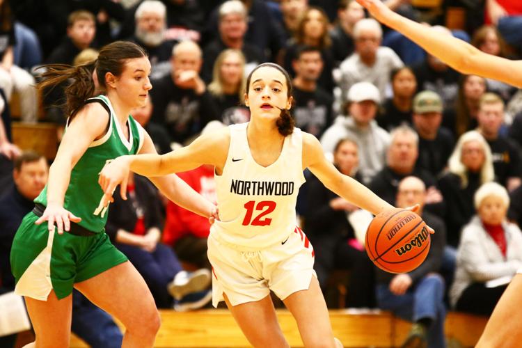 GALLERY: NorthWood girls basketball faces Bremen at Huntington North 3A ...