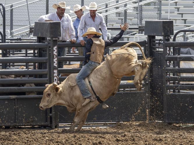 Elkhart County Fair: Riders, ropers, racers get adrenaline rush ...
