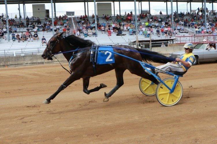 HARNESS RACING: Two wins for veteran Myers | Local Sports | goshennews.com