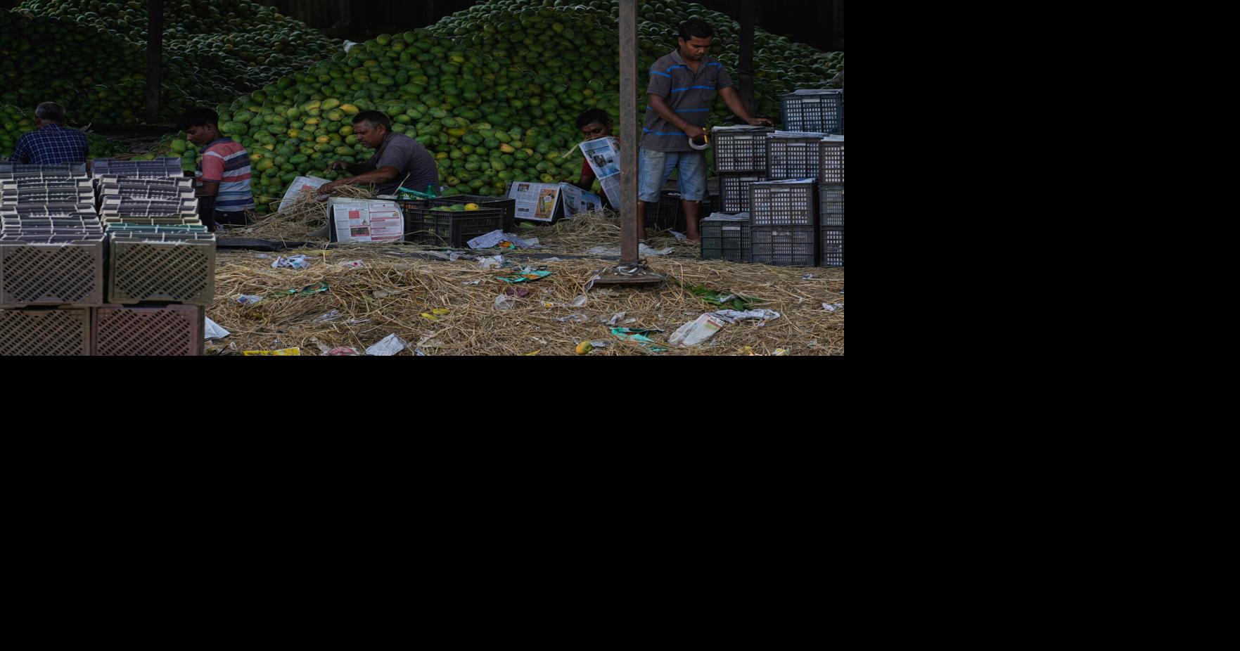 India Daily Life | National News | goshennews.com