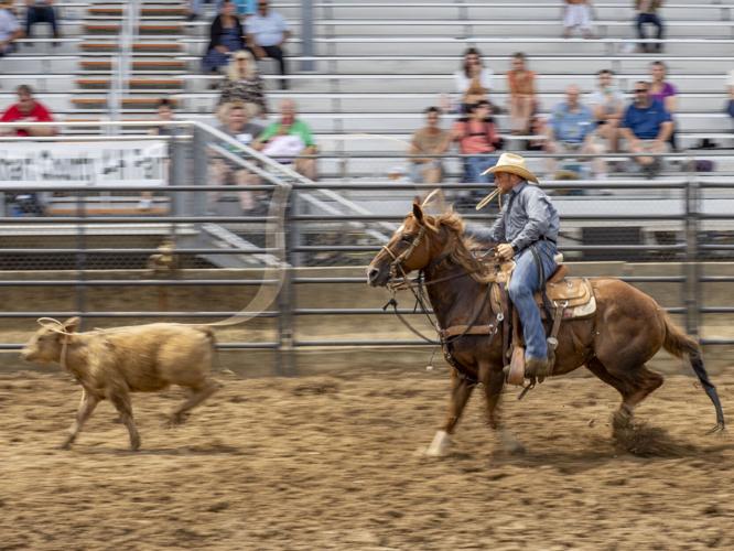 Elkhart County Fair: Riders, ropers, racers get adrenaline rush ...