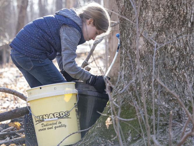 Tapping into family traditions | News | goshennews.com