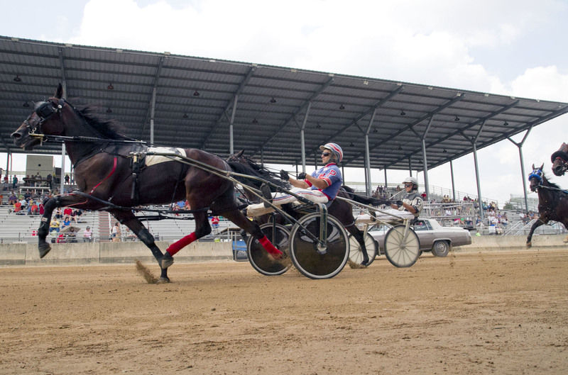 Veteran harness racing driver wins at fair | Local Sports | goshennews.com
