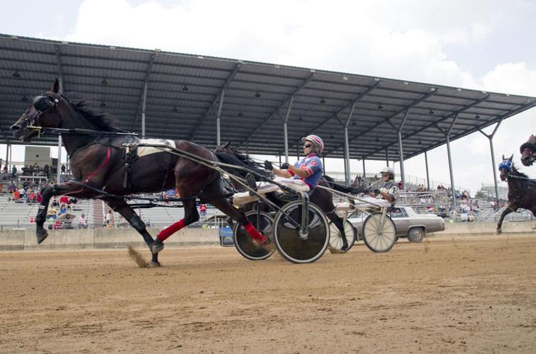 Veteran harness racing driver wins at fair | Local Sports | goshennews.com