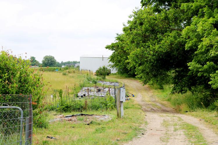 Thank A Farmer: Nature's Farm Gardens provides chemical-free produce ...