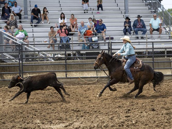 Elkhart County Fair: Riders, ropers, racers get adrenaline rush ...