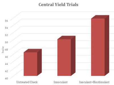 Read with a skeptical eye | News | goshennews.com