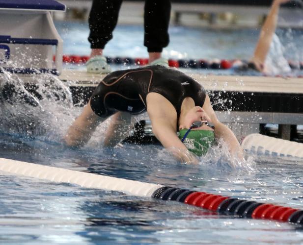 PREP GIRLS SWIMMING: Concord wins sectional; Northridge, Wawasee have ...