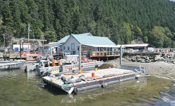 Samish Bay oyster harvest suspended for summer | All Access | goskagit.com