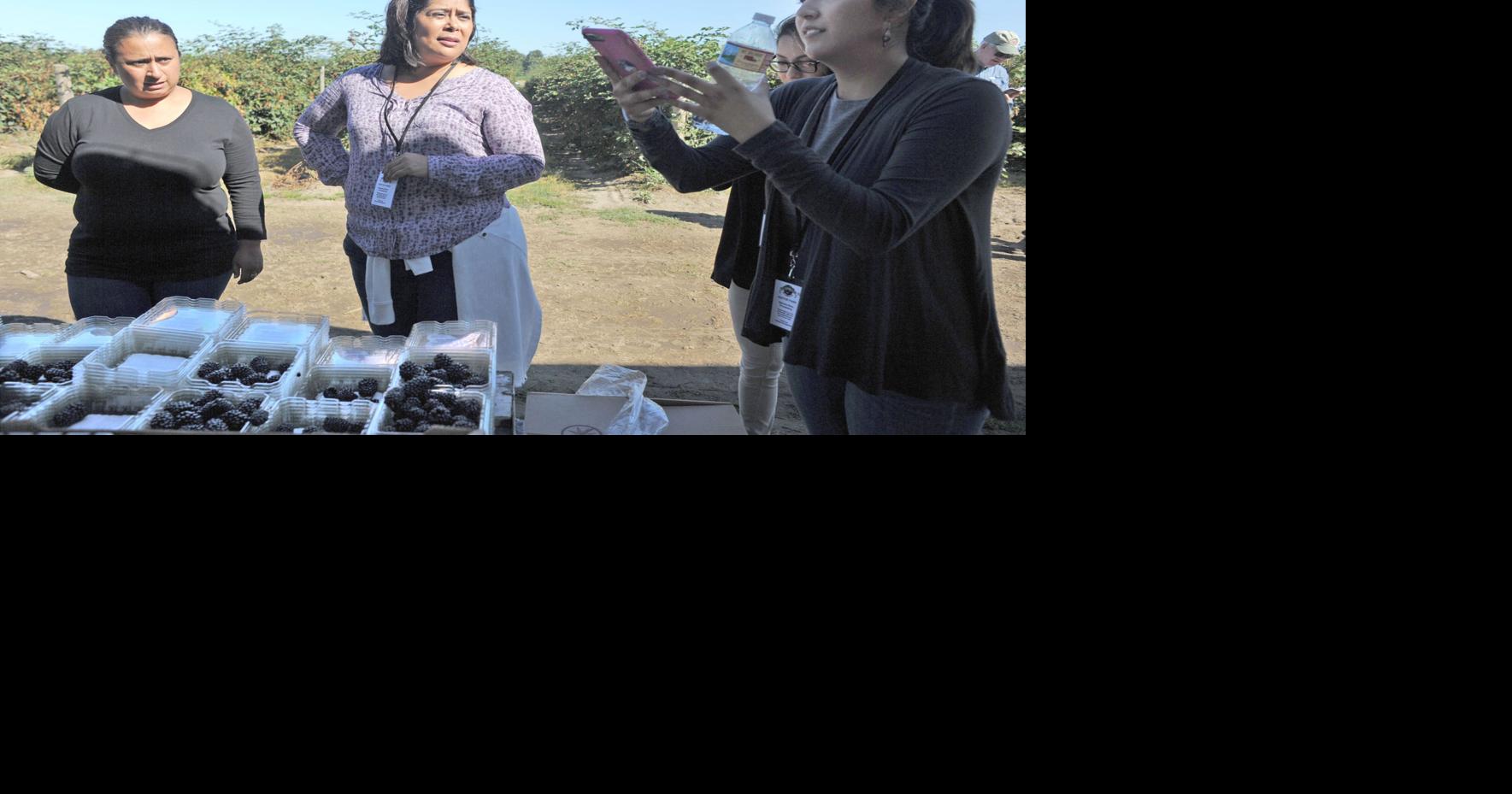 Mexican Consulate officials visit Sakuma Bros. Farms | News | goskagit.com