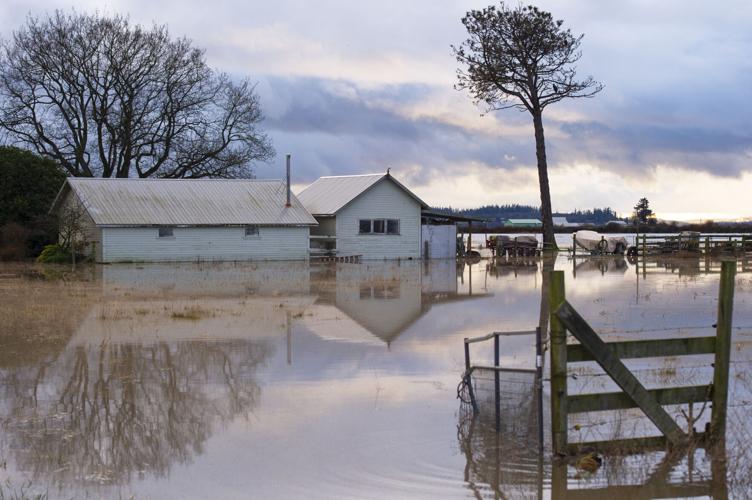 Dike bursts on Samish River, causing flooding near Edison | Environment ...