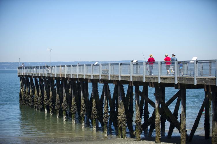 Photo gallery: Kayak Point Park | | goskagit.com