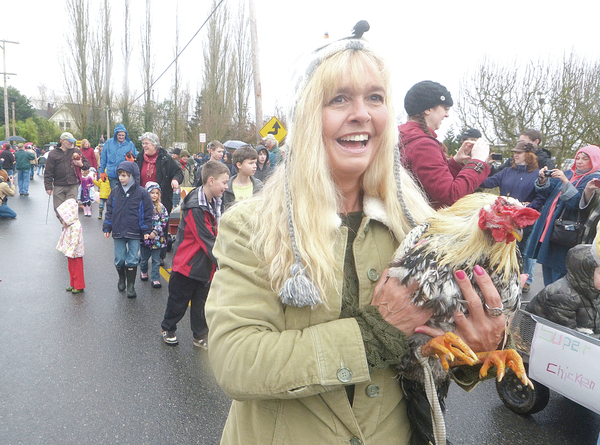 Chickens on parade in Edison | All Access | goskagit.com