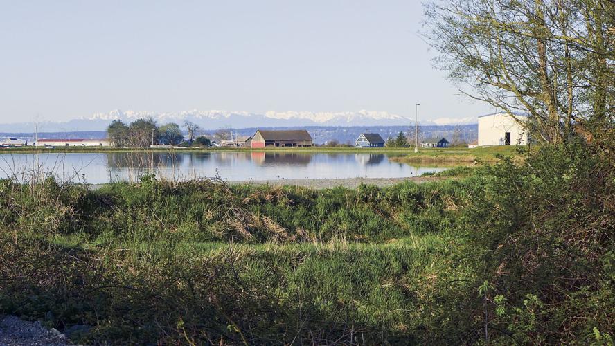 Blazing a trail: Stanwood's Port Susan Trail taking shape | News ...