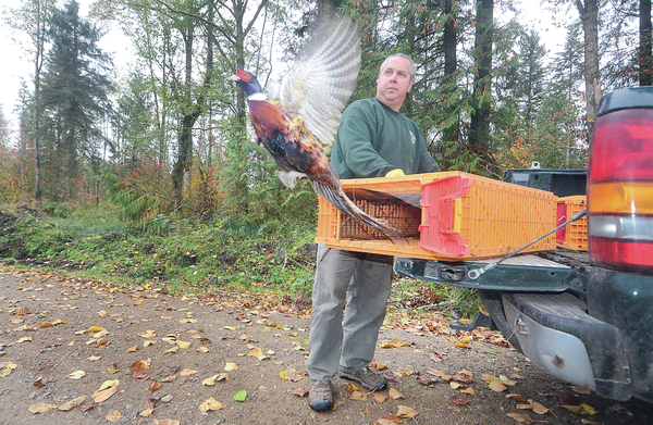 The shots heard ‘round Bow | All Access | goskagit.com