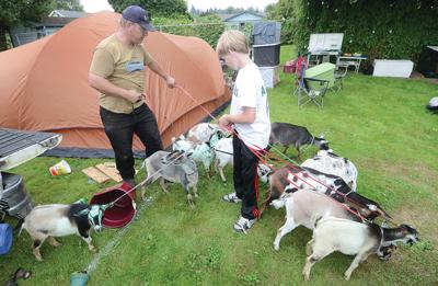 Handling the goats | All Access | goskagit.com
