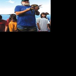 Learn about sea life at Beach Watchers series | Entertainment ...