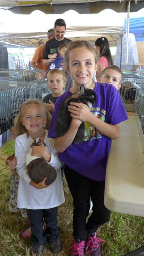 Photo gallery: Silvana Fair, 7.27.19 | Gallery | goskagit.com