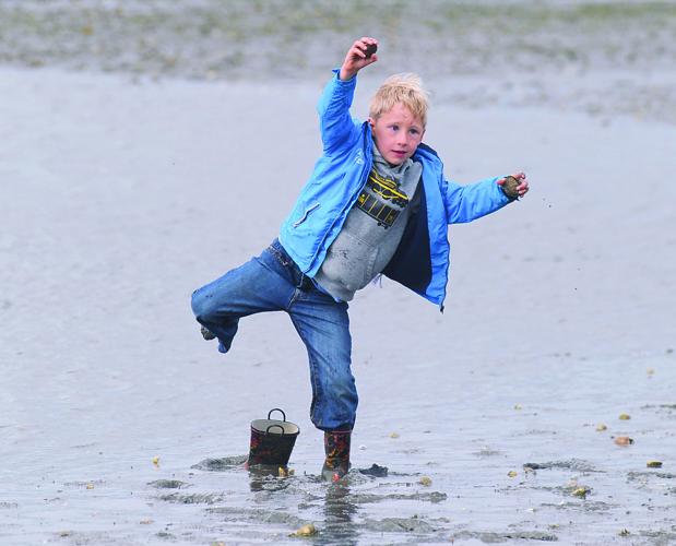 Mudflat Safari | Gallery | goskagit.com