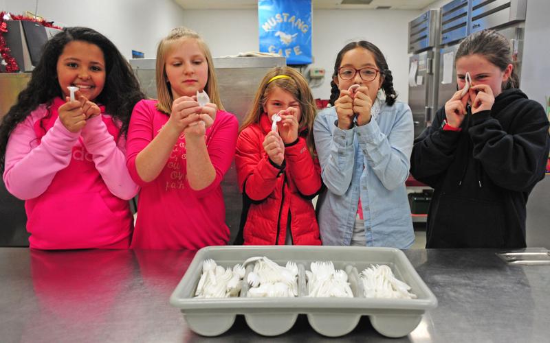Elementary school students create lunchroom change | News | goskagit.com