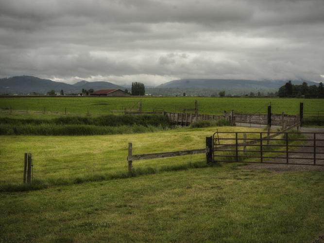 Skagit County protects additional 159 acres of farmland | Growskagit ...