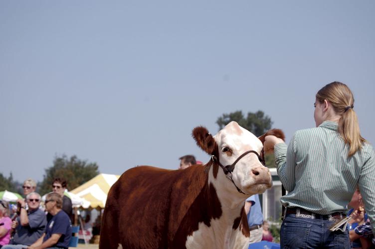 Silvana Fair steeped in tradition | News | goskagit.com