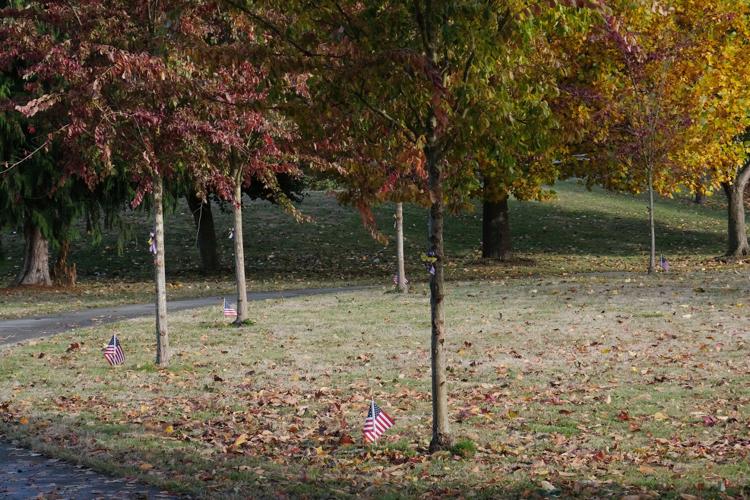 Group gathers to take care of memorial elm trees | News | goskagit.com