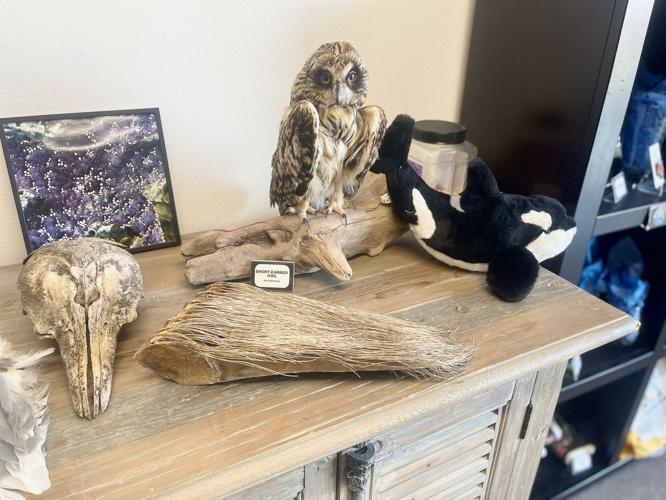 Anacortes-based Salish Sea School cuts ribbon on Discovery Center in ...