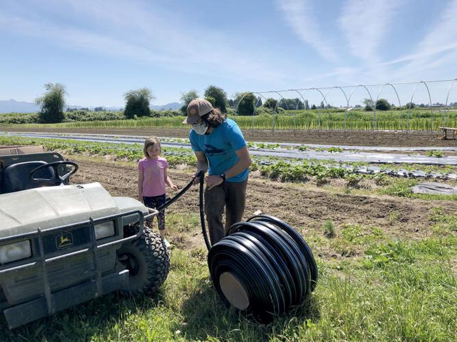 Looking to grow — Viva Farms aims to help more beginning farmers ...