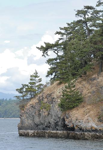 An island surrounded by questions | All Access | goskagit.com