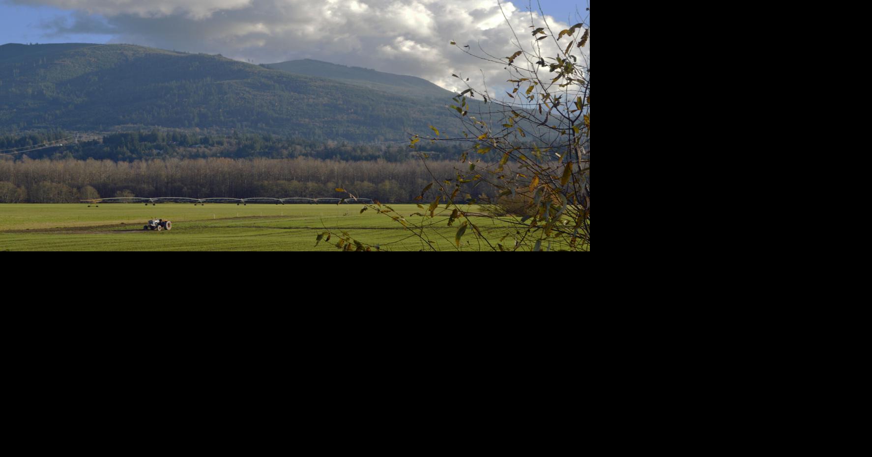 Photos: Skagit Views | Gallery | goskagit.com