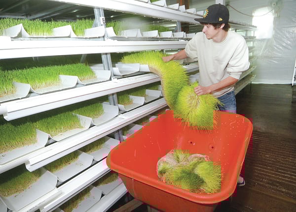 Home-grown technology | Business | goskagit.com