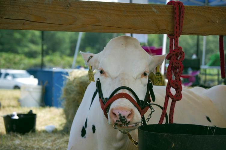 Silvana Fair steeped in tradition | News | goskagit.com