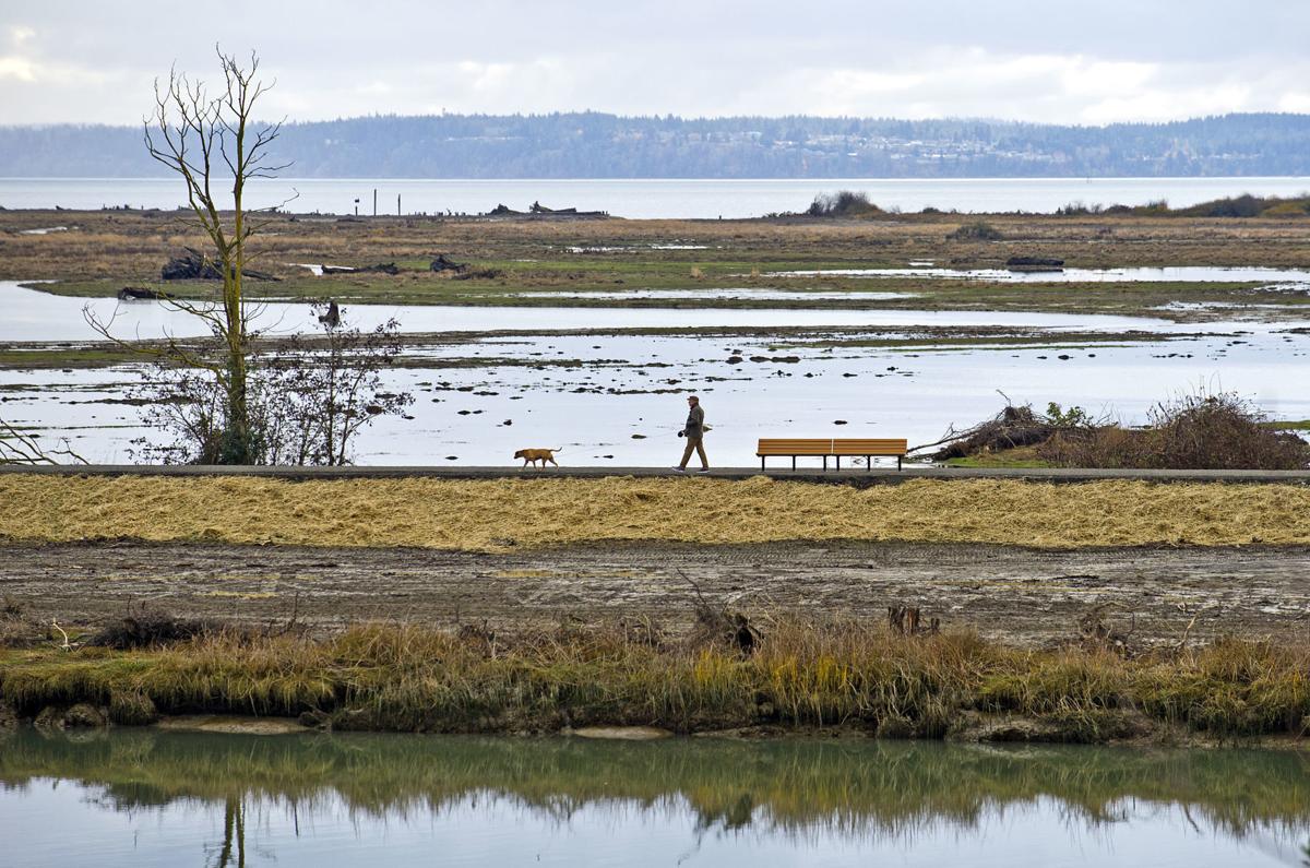 Leque Island reopens to public | News | goskagit.com
