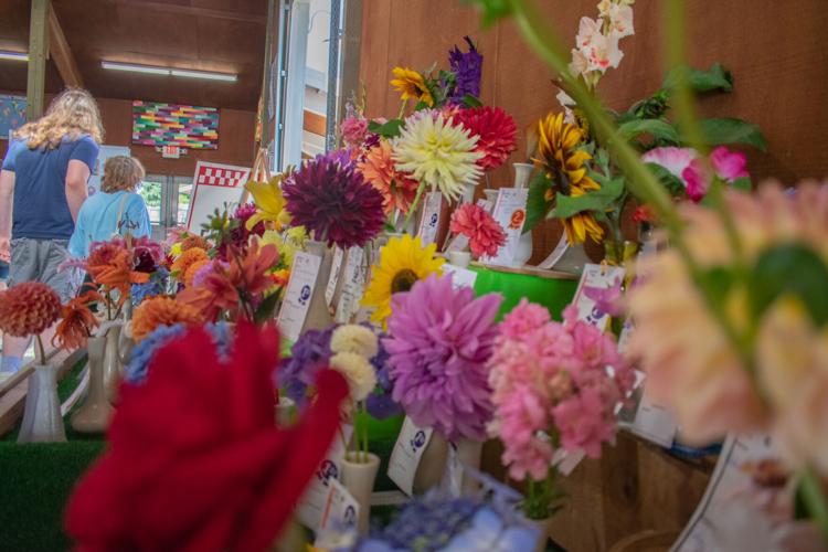 Stanwood-Camano Community Fair draws big crowds | SC News | goskagit.com