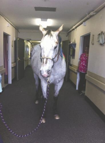 Island Portrait: "The Magic of Michael" | News | goskagit.com